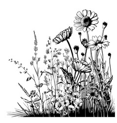 Field of wildflowers border sketch hand drawn Vector Image