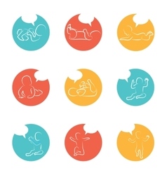 Stages human embryonic development Royalty Free Vector Image