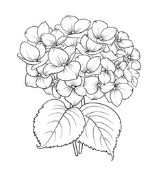 Typography slogan with peony flower Royalty Free Vector