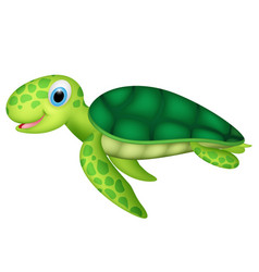 Happy turtle with blue cap on the lotus leaf Vector Image