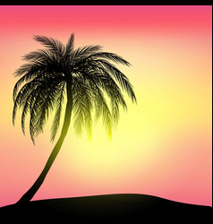 Sunset with palmtree silhouette Royalty Free Vector Image