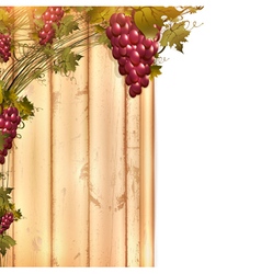 Sweet grape vines square torn border seamless Vector Image