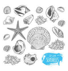 Hand drawing seashell set Royalty Free Vector Image
