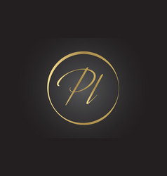 Initial pl letter logo creative typography Vector Image