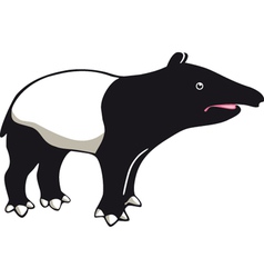 Cute malayan tapir sitting in grass as asian Vector Image