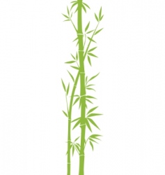 Bamboo bush vector by Kotkoa - Image #3851941 - VectorStock