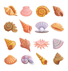 Seashells seamless pattern sea shell summer ocean Vector Image