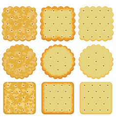 Cracker chips set on white background Royalty Free Vector