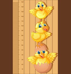 Height measurement chart with coconut tree Vector Image