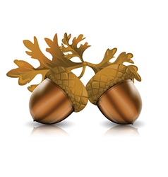 Acorn old style Royalty Free Vector Image - VectorStock