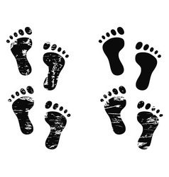 Foot arch types Royalty Free Vector Image - VectorStock