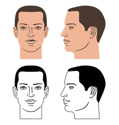 Man head divisions scheme Royalty Free Vector Image