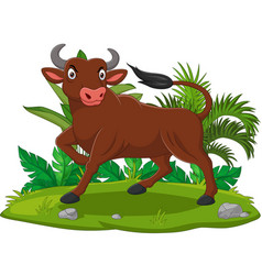 Cartoon happy yak Royalty Free Vector Image - VectorStock