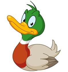 Duck cartoon Royalty Free Vector Image - VectorStock