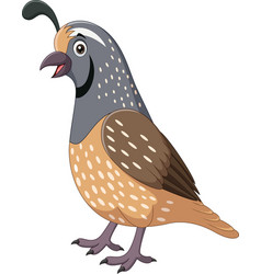 Cartoon wild animals background Royalty Free Vector Image