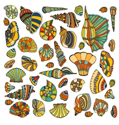 Seashells colorful outline seashell set Royalty Free Vector