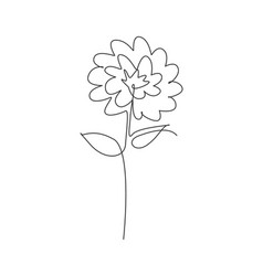 Continuous one line rose flower minimalism Vector Image