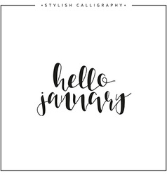 Calligraphy months names abstract calendar Vector Image