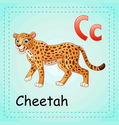 Fruits alphabet c is for cherry Royalty Free Vector Image