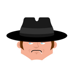 Spy Royalty Free Vector Image - VectorStock