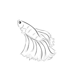 Simple outline betta or siamese fighting fish Vector Image