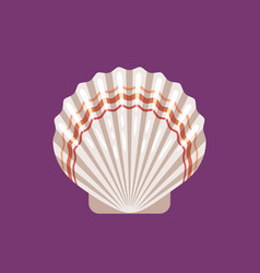 Scallop seashell Royalty Free Vector Image - VectorStock