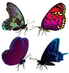 Colored acherontia styx butterfly isolated Vector Image