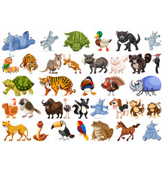 Set wild animals Royalty Free Vector Image - VectorStock