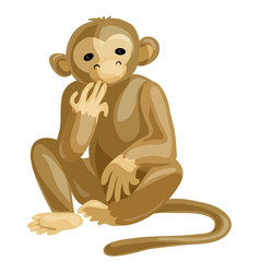 Proboscis monkey icon cartoon style Royalty Free Vector