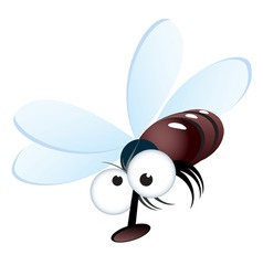 Cartoon happy fly isolated on white background Vector Image