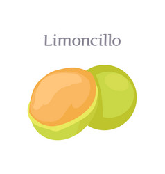 Cartoon fresh lime isolated sticker Royalty Free Vector