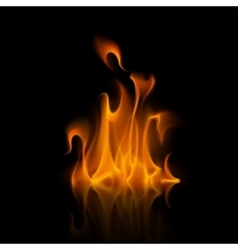 Green magic fire flame bonfire Royalty Free Vector Image