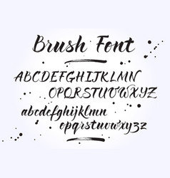 Calligraphy handwritten alphabet Royalty Free Vector Image