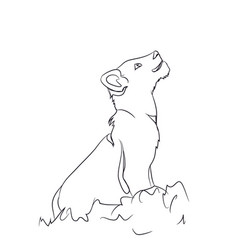 Young lioness with lion cub one line drawing Vector Image