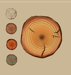 Wooden log cut Royalty Free Vector Image - VectorStock