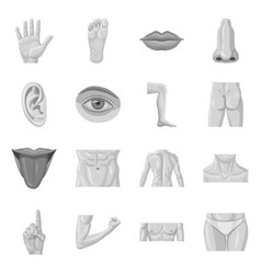 Human and part icon Royalty Free Vector Image - VectorStock