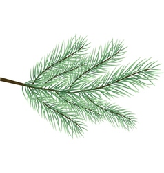 Fur tree Royalty Free Vector Image - VectorStock