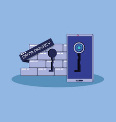 Pirate with wall data privacy Royalty Free Vector Image