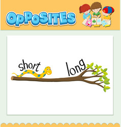 Opposite words tall and short Royalty Free Vector Image