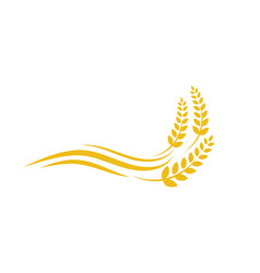 Wheat with ukrainian flag national symbols Vector Image