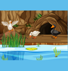 Birds and ducks by the pond Royalty Free Vector Image