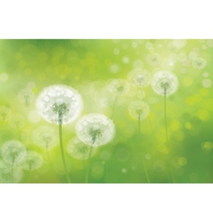 Spring background Royalty Free Vector Image - VectorStock