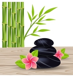 Spa a flower vector by aleksander1 - Image #1822410 - VectorStock