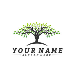 Big tree Royalty Free Vector Image - VectorStock