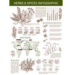 Set spices and herbs for cooking Royalty Free Vector Image