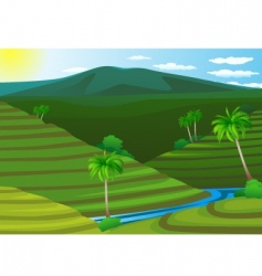 Cartoon color landscape scene chinese rice fields Vector Image
