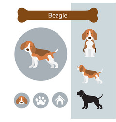 Cute cool beagle puppy set dogs Royalty Free Vector Image
