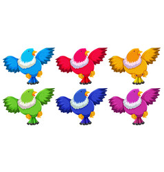 Six different species of birds Royalty Free Vector Image