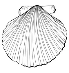 Fossil ammonite line art Royalty Free Vector Image