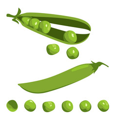Green pea pod isolated on transparent background Vector Image